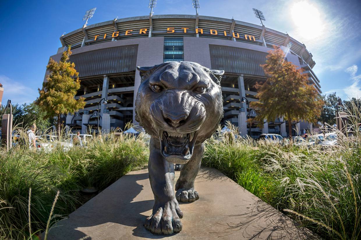 Louisiana State University – JobElephant